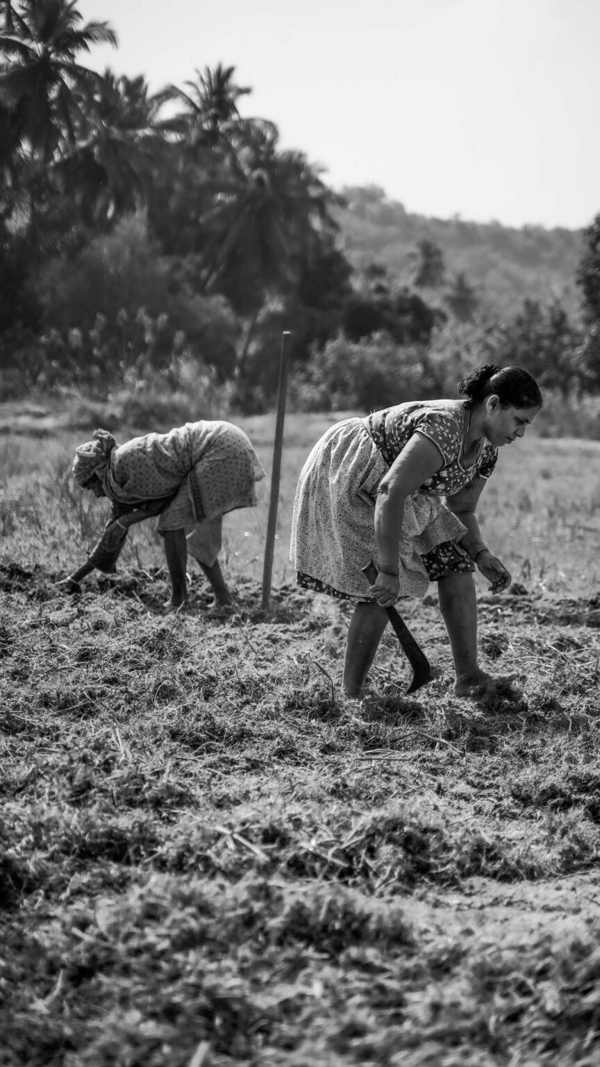 BIOGRAPHY – Recuerda a Cesar Chavez NM